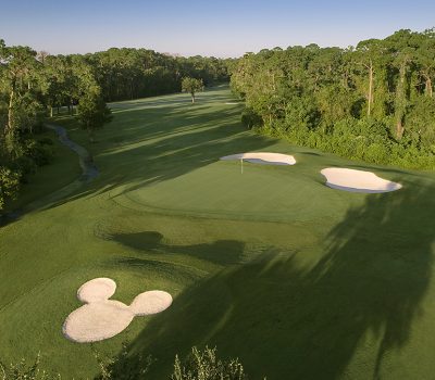 Disney Golf - TeeTime Golf Pass